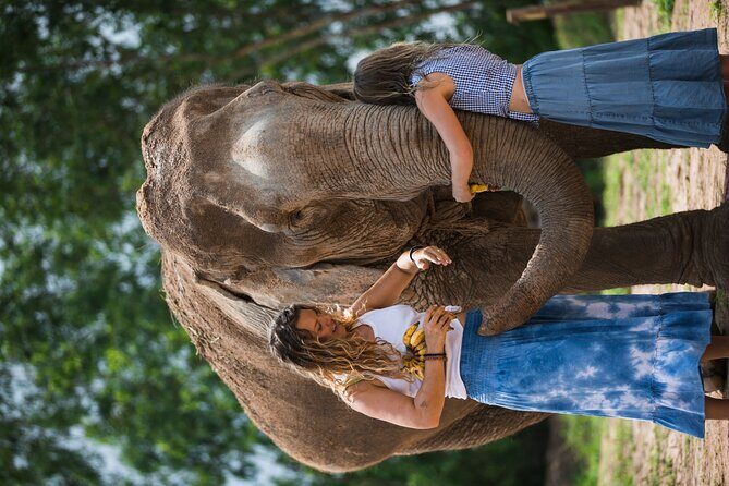 Elephant Jungle Sanctuary: Half Day Morning Program - Who Is This Tour Best For?