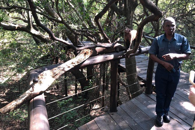 Elephant & Monkey Sanctuary Tour from Johannesburg - Authenticity and Ethical Considerations