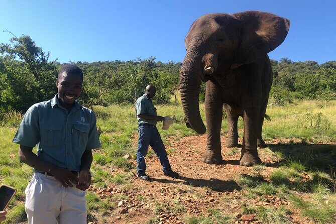 Elephant & Monkey Sanctuary Tour from Johannesburg - The Value of This Experience