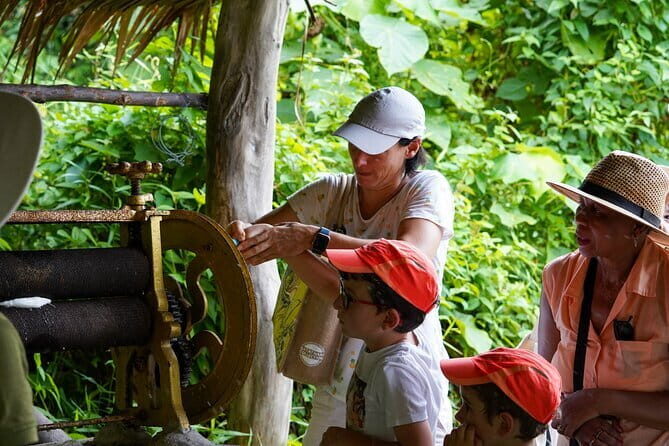 Elephant Nature Experience with Lunch at Bukit Elephant Park - Observing and Feeding Elephants: Respectful Encounters
