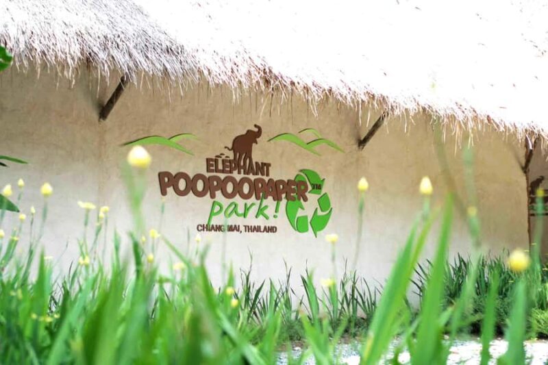 Elephant Poopoopaper Park Entry Ticket - Key Points
