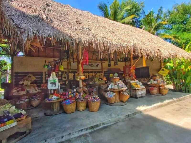 Elephant Poopoopaper Park Entry Ticket - Practical Details and Tips