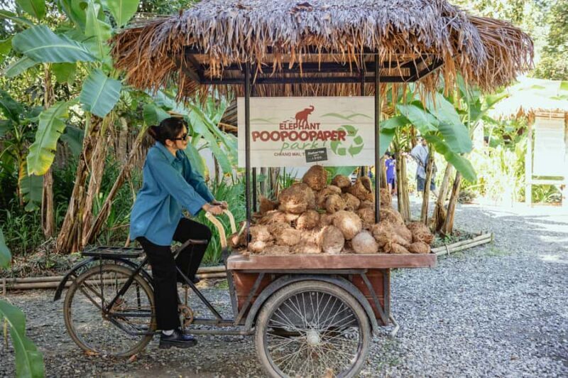 Elephant Poopoopaper Park Entry Ticket - The Sum Up: Who Is This Experience Best For?