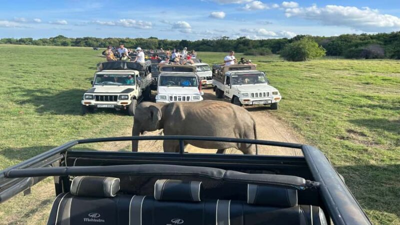 Elephant Safari Hurulu Eco park - Frequently Asked Questions