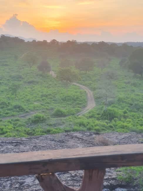 Elephant safari: Minneriya national park elephant safari - The Value of Guided Wildlife Tours