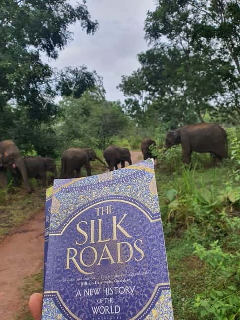 Elephant safari: Minneriya national park elephant safari - Detailed Breakdown of the Safari Experience