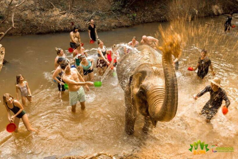 Elephant Sanctuary Cambodia, Pickup and drop off included - Key Points