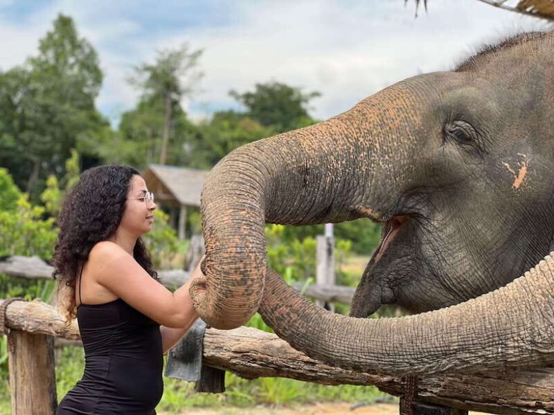 Elephant Sanctuary Cambodia, Pickup and drop off included - Authenticity and Visitor Feedback