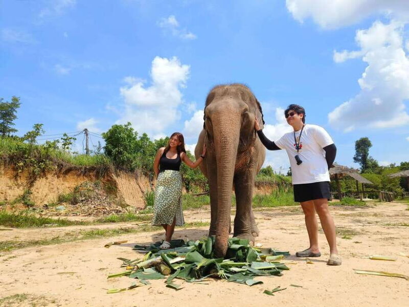 Elephant Sanctuary Cambodia, Pickup and drop off included - FAQ