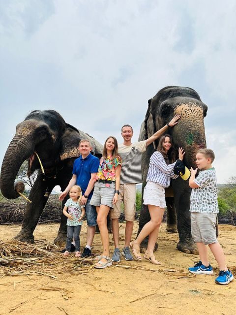 Elephant Sanctuary for Best elephant experience in Jaipur - Introduction to the Elephant Sanctuary Experience