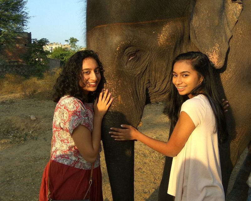 Elephant Sanctuary for Best elephant experience in Jaipur - Frequently Asked Questions