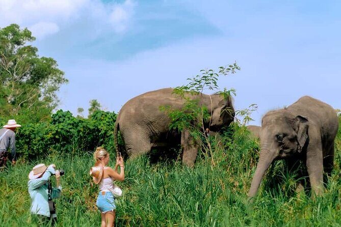Elephant Sanctuary Small Group Tour in Phuket - Key Points