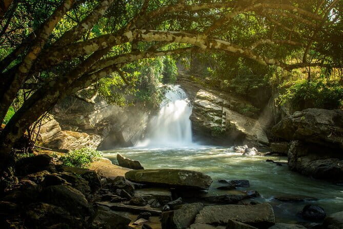 Elephant Sanctuary + Waterfall + Bamboo Rafting One Day Trip - An Authentic Day in Chiang Mais Natural Heartland