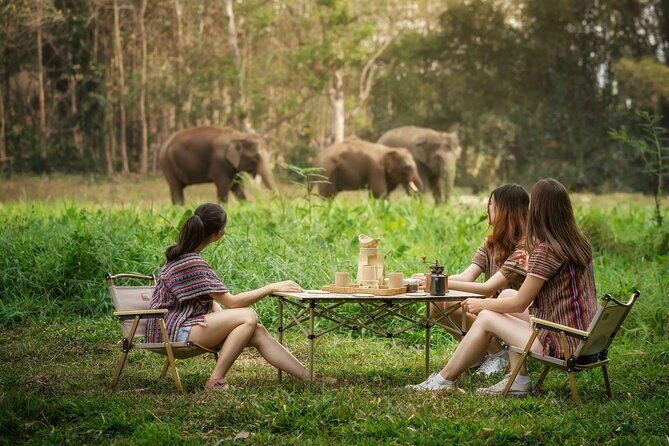 Elephant Sanctuary with Thai Cooking Experience in Chiang Mai - Elephant Sanctuary with Thai Cooking Experience in Chiang Mai: A Complete Review