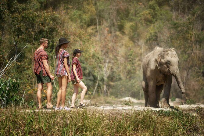 Elephant Sanctuary with Thai Cooking Experience in Chiang Mai - Detailed Breakdown of the Tour Experience