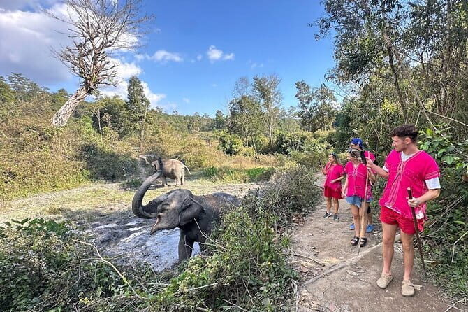 Elephant Watching and Thai Cooking Class with Waterfall - Key Points