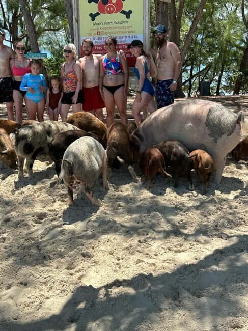 Eleuthera Adventure: Swings, Pigs, and Reefs - Key Points