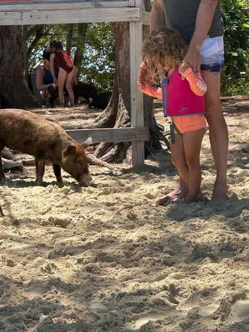 Eleuthera Adventure: Swings, Pigs, and Reefs - Who Would Love This Tour?