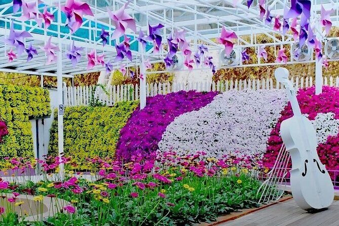 Elevate Your Senses: A Day of Wonders in Cameron Highlands! - Authentic Experiences and Practical Tips