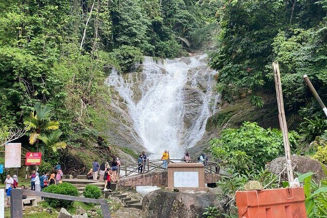 Elevate Your Senses: A Day of Wonders in Cameron Highlands! - FAQ