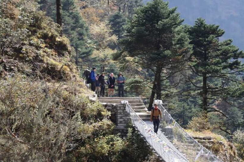 Elevate Your Spirit: A Day Hike through Shivapuri's Splendor - Who Should Consider This Experience?