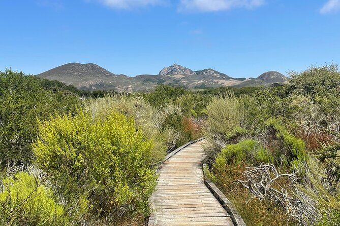 Elfin Forest Nature Tour with Local Sweet and Savory Tasting - Key Points