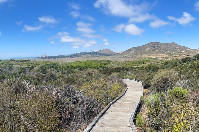 Elfin Forest Nature Tour with Local Sweet and Savory Tasting - Who Should Consider This Tour?