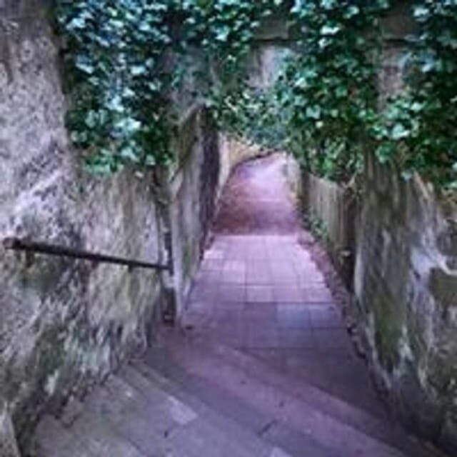 Elgin: The Royal West End Walking Tour - Practical Details and How to Make the Most of the Tour