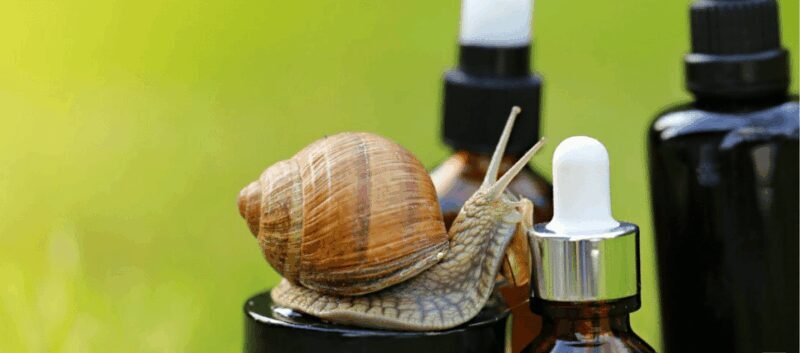 Elice (IT): "The house of snails" and beauty product - FAQ