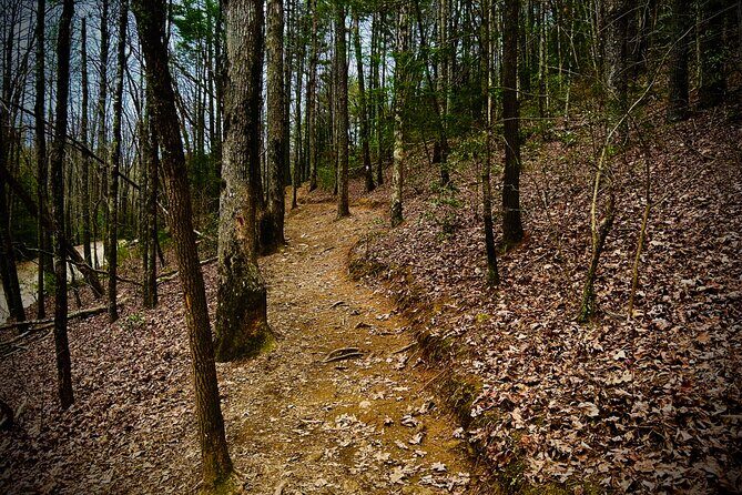 Elijay Hike w/ Waterfall & Wine Tasting Private Tour from ATL - What Makes This Tour Stand Out?