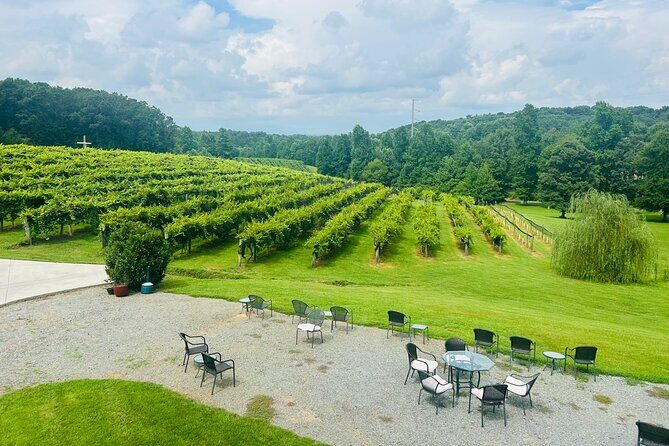 Elijay Three Vineyards Private Wine Tasting Tour from Atlanta - The Value of the Experience