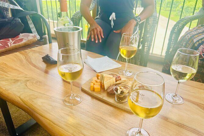 Elijay Three Vineyards Private Wine Tasting Tour from Atlanta - Who Should Book This Tour?