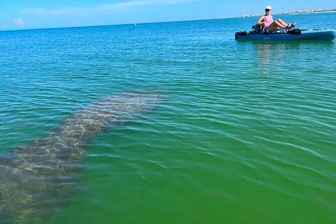 Elite Hobie Kayak Experience: Ultimate Premium Eco Adventure! - Elite Hobie Kayak Experience: Ultimate Premium Eco Adventure!