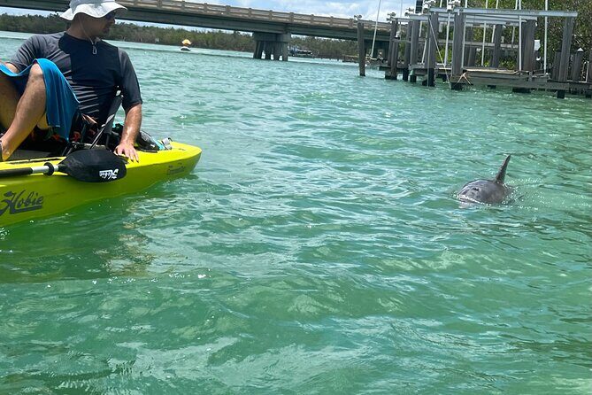 Elite Hobie Kayak Experience: Ultimate Premium Eco Adventure! - Price and Value: Are You Getting Your Money’s Worth?