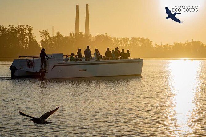 Elkhorn Slough Wildlife Tour - FAQ