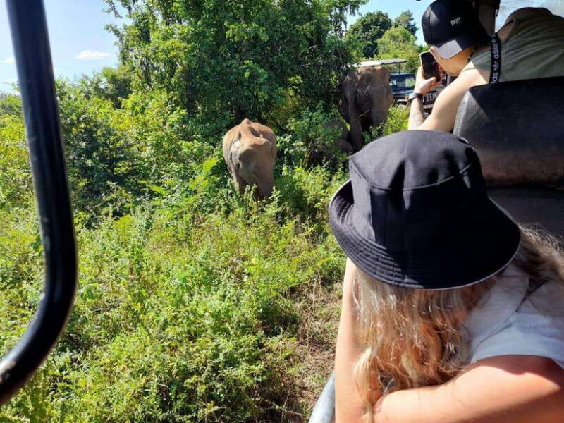 Ella: 1 Day tour to Badulla / Haputale / Mahiyanganaya - Final Thoughts: Who Should Consider This Tour?