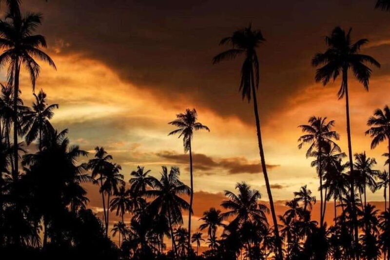 Ella: Adventure day trip to explore Ella by tuk tuk - Practical Aspects and Tips