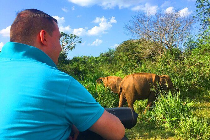 Ella Adventure Sri Lanka Holiday 07 Nights 08 Days - Exploring the Highlights in Depth