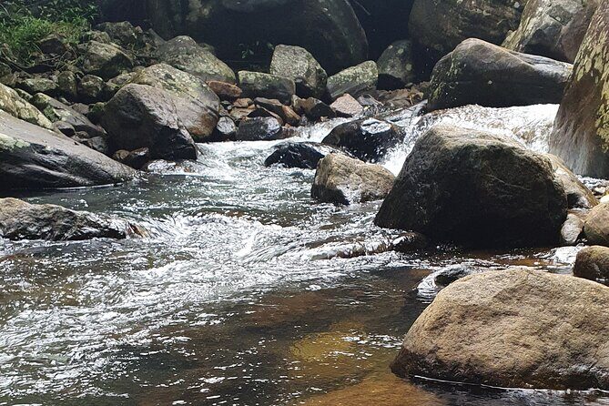 Ella and Yala National park Tour from Colombo - Who This Tour Is Best For