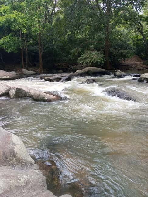 Ella: Authentic village tour with Sri Lankan lifestyle & way - An In-Depth Look at What You Can Expect