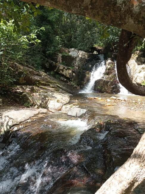 Ella: Authentic village tour with Sri Lankan lifestyle & way - Who Would Enjoy This Tour?