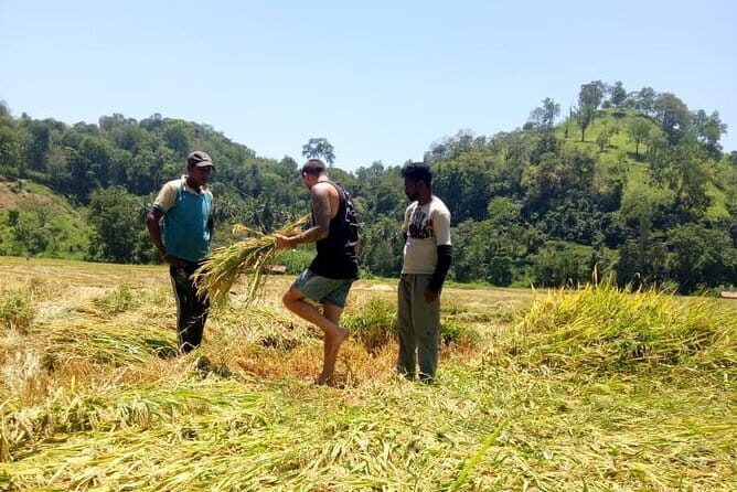 Ella Countryside Village Tour from Ella - Starting the Day: Pickup and Journey to Etili