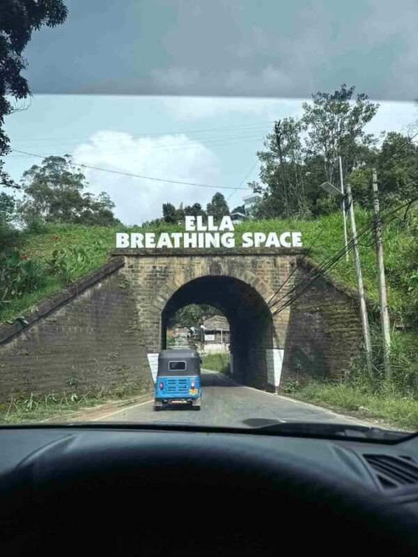 Ella: Curated Day Tour with Scenic Train Journey from Kandy - Who Will Love This Tour?