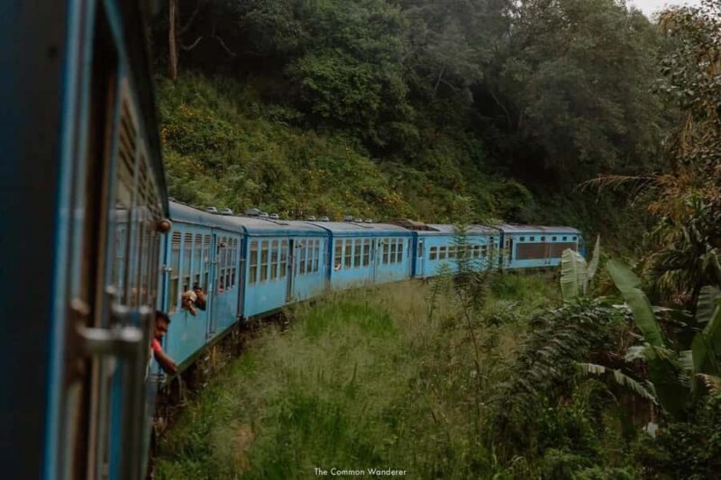 Ella: Curated Scenic Train Journey from Nanu Oya with Locals - Ella: Curated Scenic Train Journey from Nanu Oya with Locals — A Close Look
