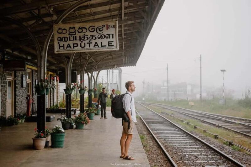 Ella: Curated Scenic Train Journey from Nanu Oya with Locals - The Cost & Value Proposition