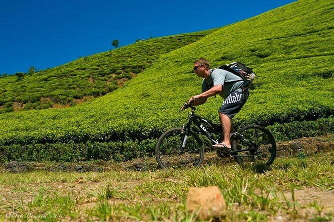 Ella Cycling Tour - An In-Depth Look at the Ella Cycling Tour