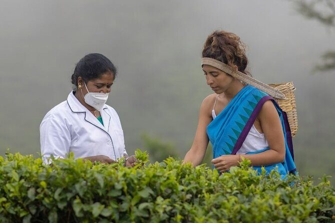 Ella Day Tour From Kandy - Who Is This Tour Best Suited For?