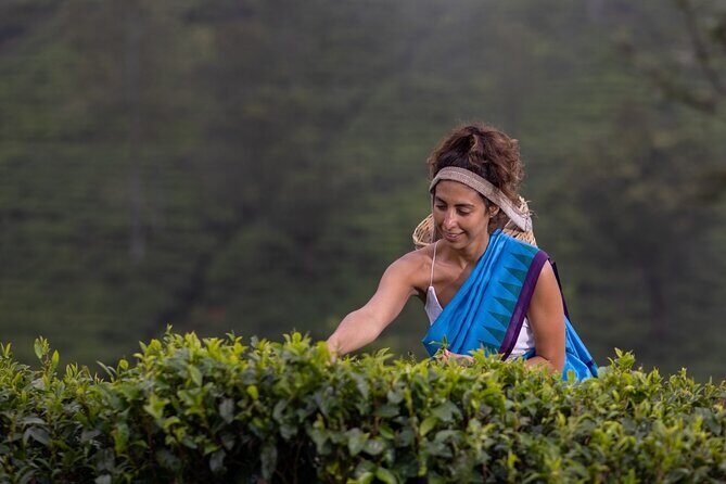 Ella Day Tour From Kandy - The Sum Up: A Well-Rounded Day in Sri Lanka
