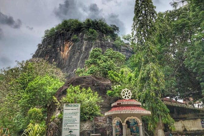 Ella Day Tour from Mirissa/Tangalle/Waligama - Who Will Love This Tour?