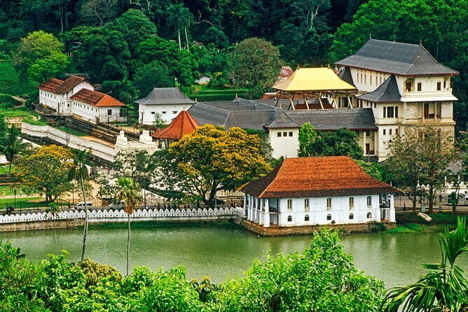 Ella Day Tour with Scenic Train Ride From Hikkaduwa - The Value of This Tour: What You Get for Your Money
